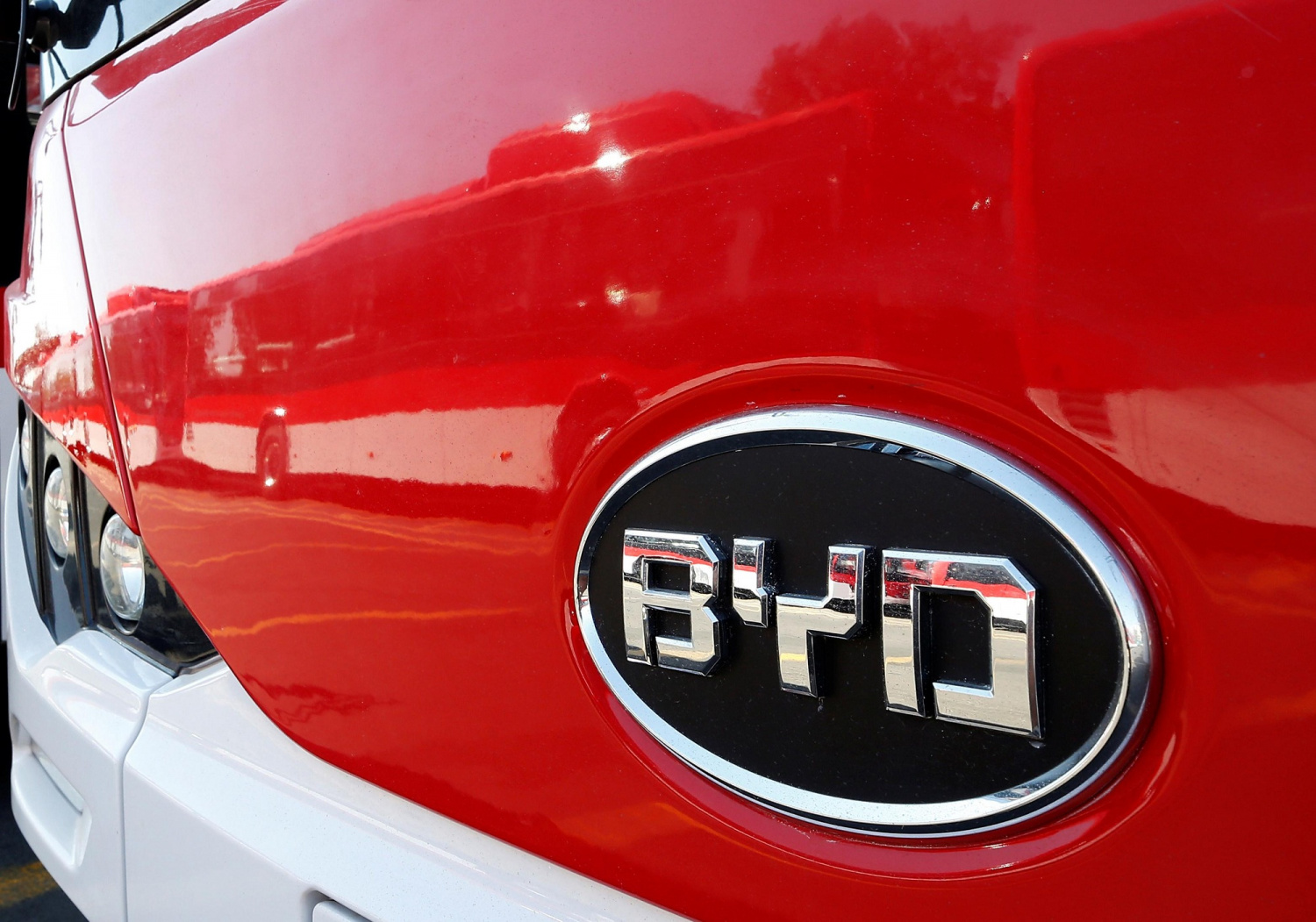 Byd logo