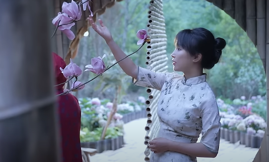 Chinese Influencer Li Ziqi Reemerges After Three-Year Hiatus ...