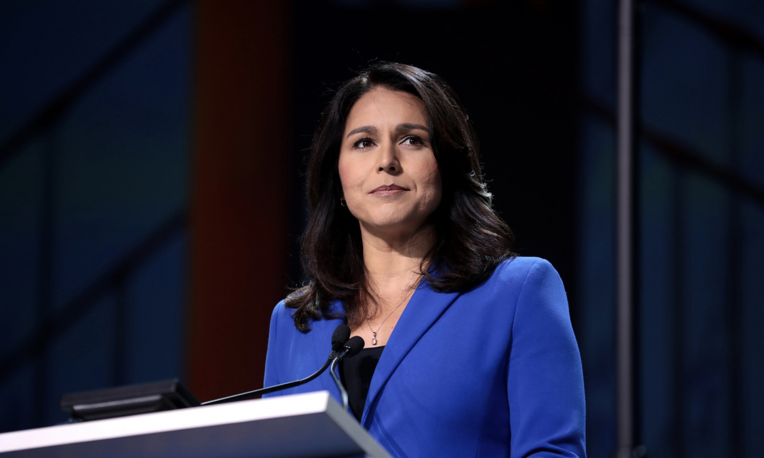 Tulsi Gabbard Says Intelligence Review Found 120+ U.S.-Funded Biolabs ...